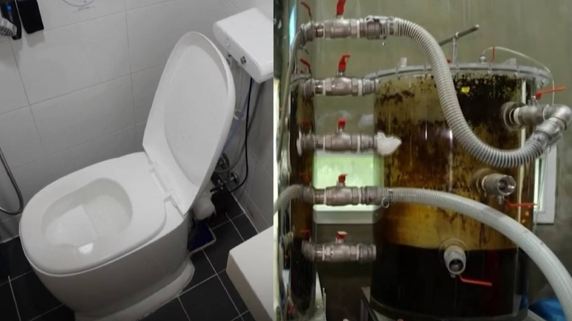 Poop Power: A Sustainable Future – mrulab.com